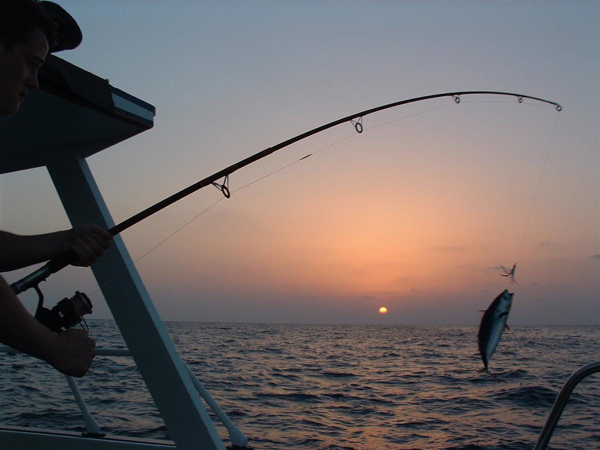 Fishing tour by boat in Antalya - Vigo Tours